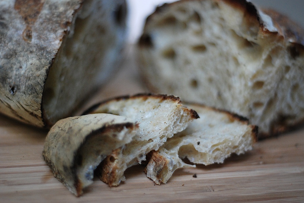 Sourdough Bread « Alejandra's Kitchen